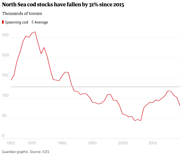 TYWKIWDBI ("Tai-Wiki-Widbee"): North Sea cod declining