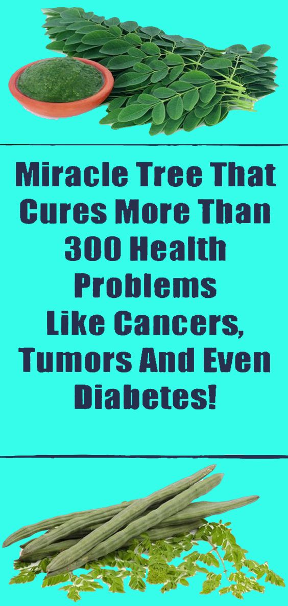 A Common Tree That Harbors Miraculous Properties To Fight Lung, Liver ...