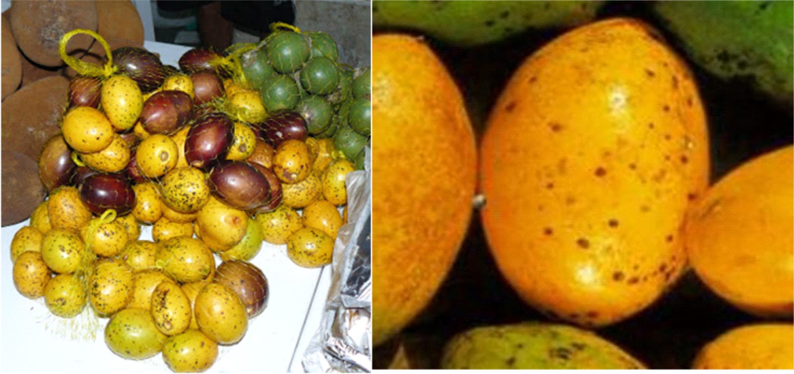 ENCONTRE EM ICOARACI: CULINÁRIA DO PARÁ