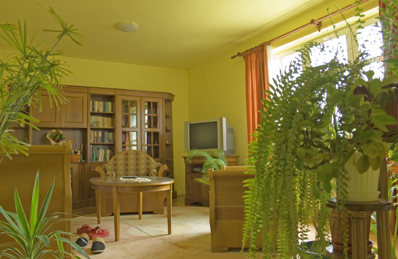 How to Recycle: Natural Green Living Ideas