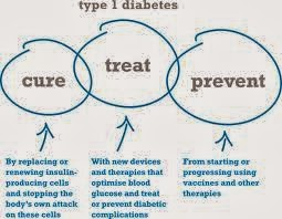 Type 1 diabetes - Definition Symptoms Prevention and Prepare ...