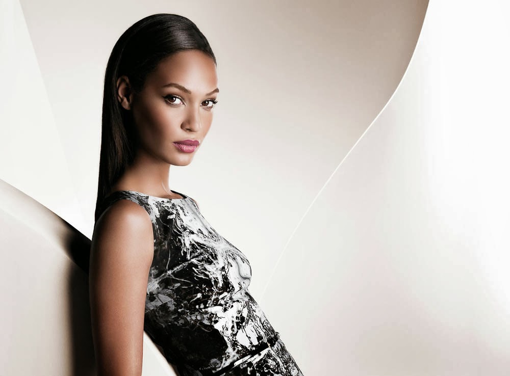 Modelos que nos inspiran: JOAN SMALLS