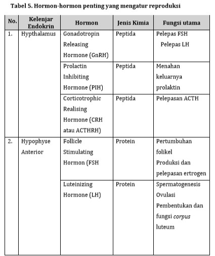 25 Daftar Hormon Dan Fungsinya Dalam Tubuh Manusia Usaha Tiga Dua Satu ...