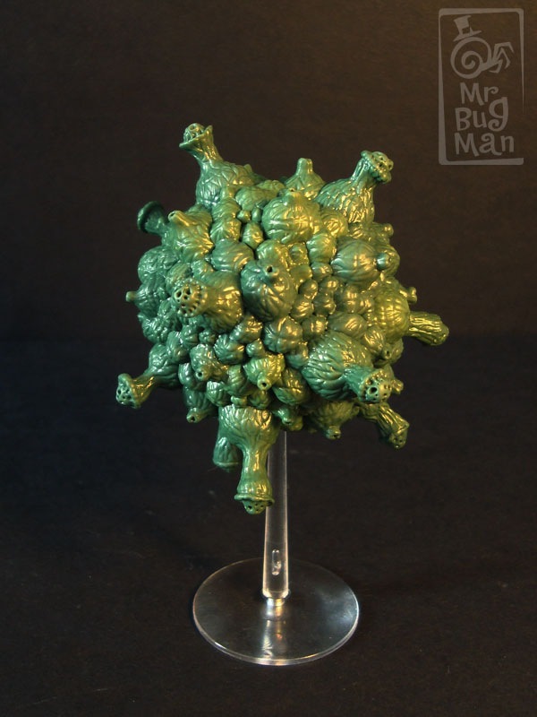 Mr. Bug Man: ASCOMOID