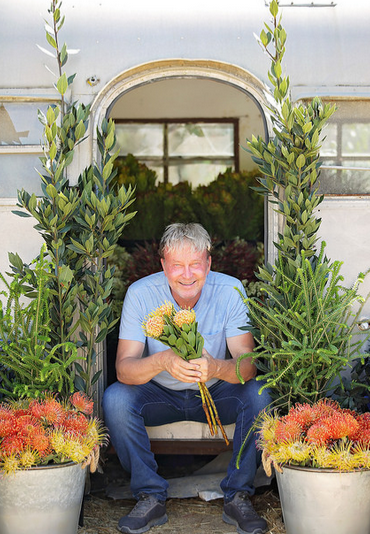 A Passion for Flowers: Rene Van Rems: From Field to Vase