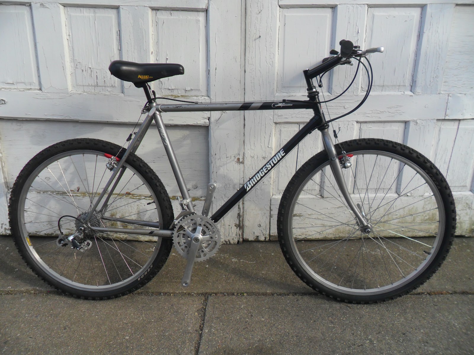 Bike Whisperer