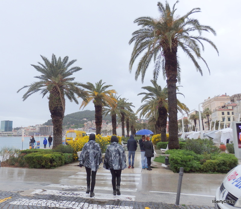 fotokeliones: Splitas