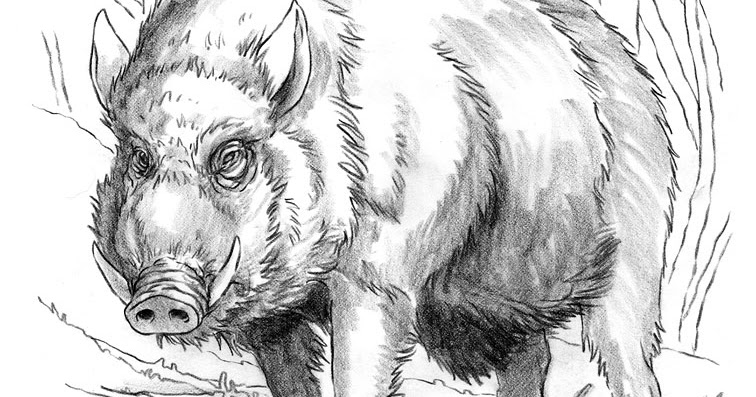 The DOODLES, DESIGNS, and aRT of CHRISTOPHER BURDETT: Fresh from the ...