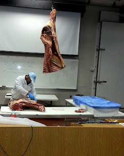 Cook with Cindy - Food, Fun, and more!: MEAT 101