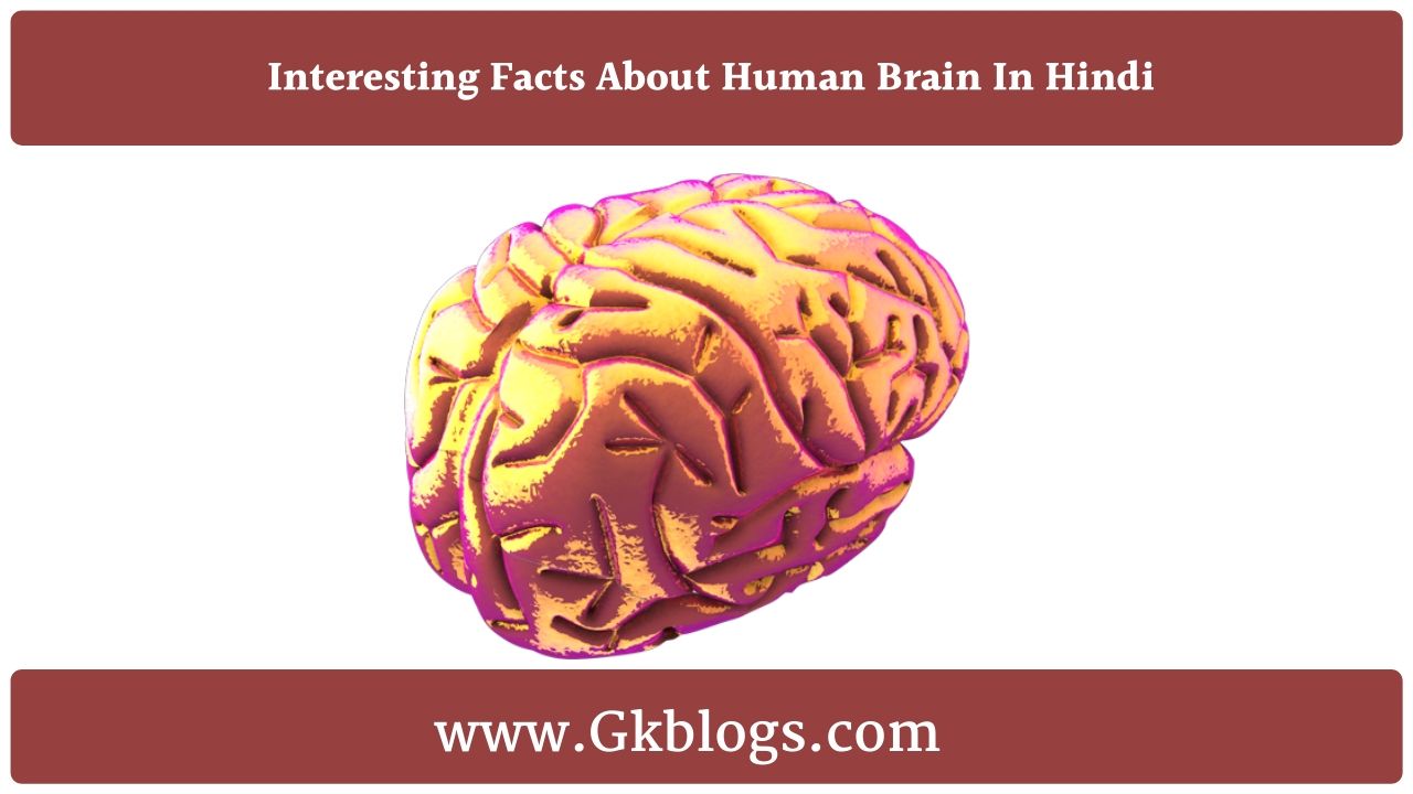 Interesting Facts About Human interesting-facts-about-human
