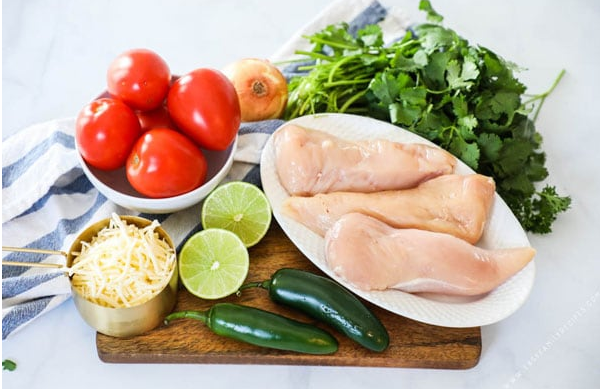 Salsa Fresca Chicken | We are Fanatical Foodies