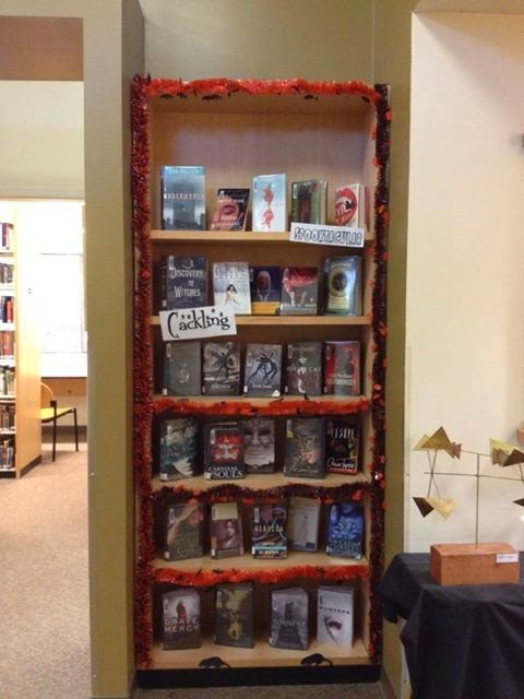 Librarian on Display: A Year Of Library Displays!