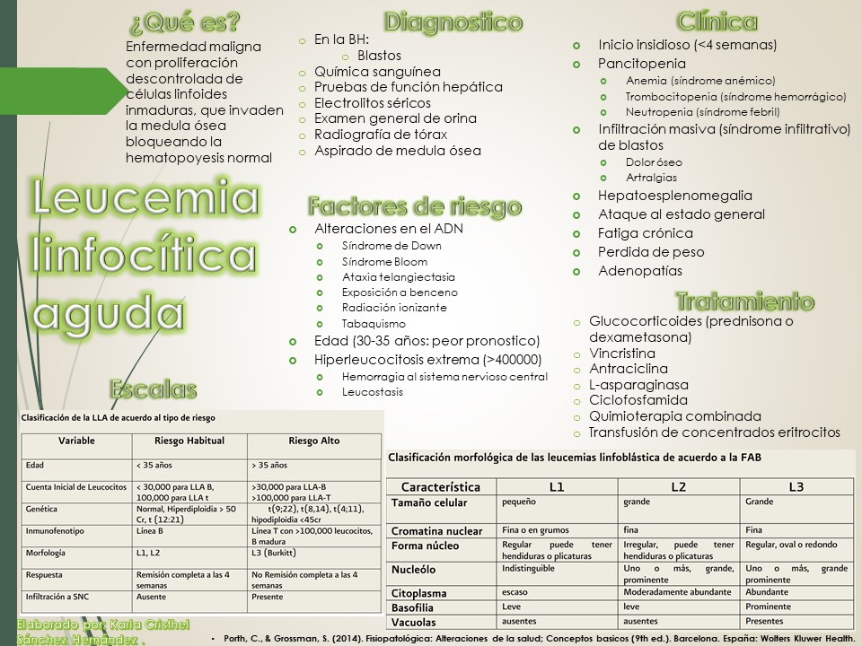 hematología : 3.2.- Leucemia linfocitica aguda (LLA) hematología : 3.2.- Leucemia linfocitica aguda (LLA)
