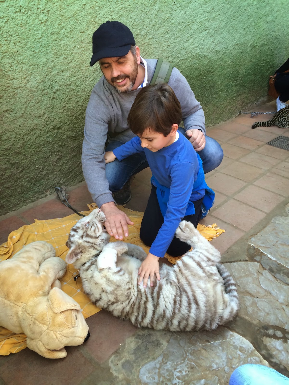 LOS KUARES2: ZOO DE CASTELLAR