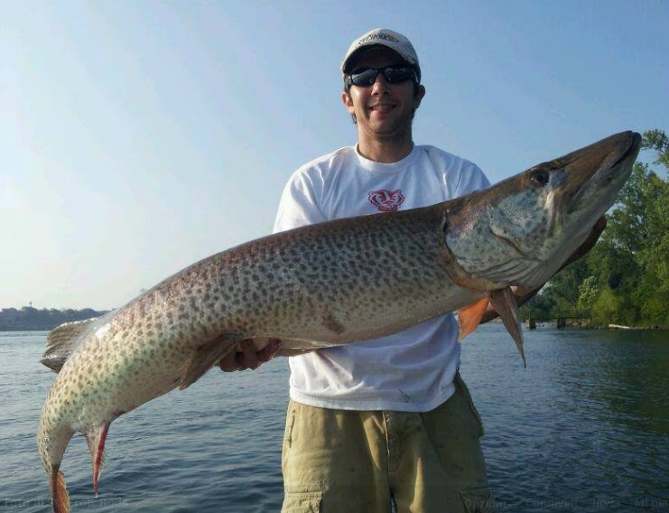 Big Fishes of the World: MUSKIE page 3