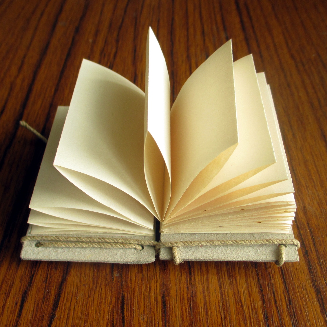 Srjskam: Accordion Book with Jacob's Ladder Binding