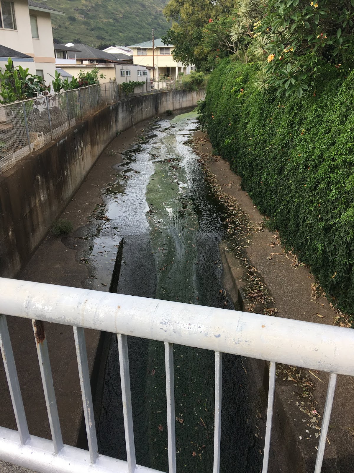 Video: Pukele, Wai‘oma‘o, Palolo Streams