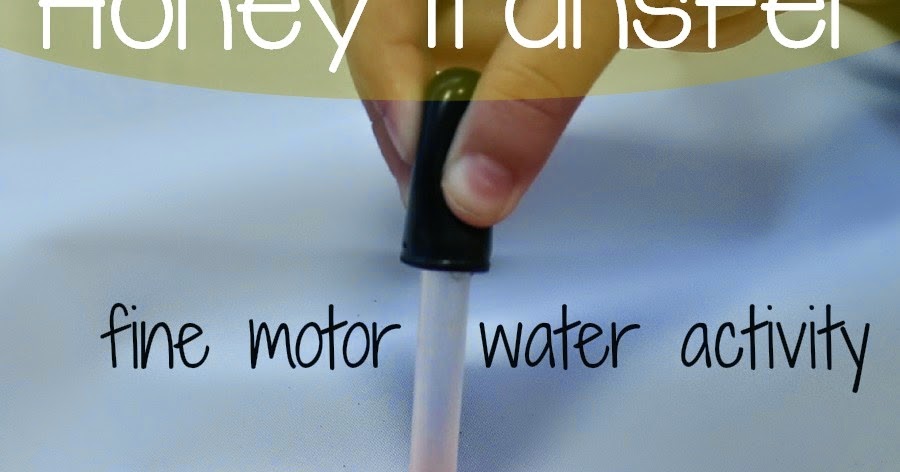 Honey Transfer: Bee Fine Motor Activity | Still Playing School