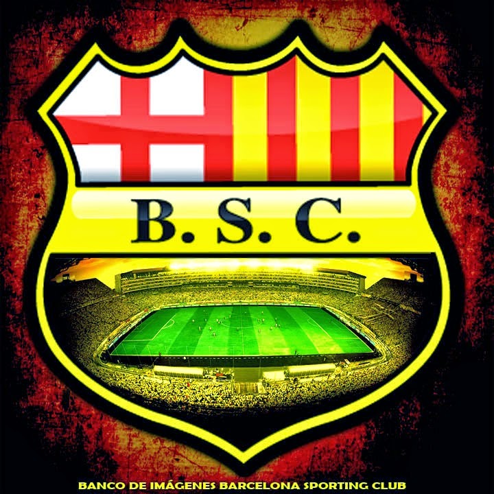 bsc: 2014