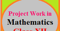 Mathematics Project Work Class 12