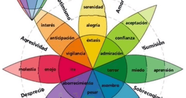 Transfórmate y sé feliz: Las 8 emociones básicas, según la rueda de Plutchik
