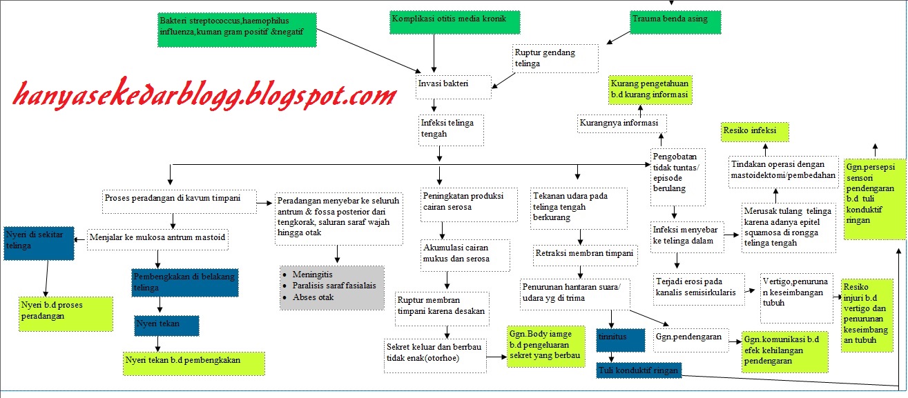 Pathway Mastoiditis