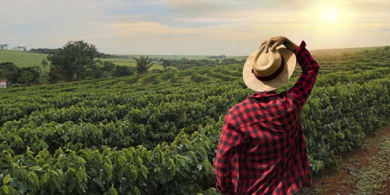 En cinco décadas en Argentina la población rural se redujo cerca del 30 ...
