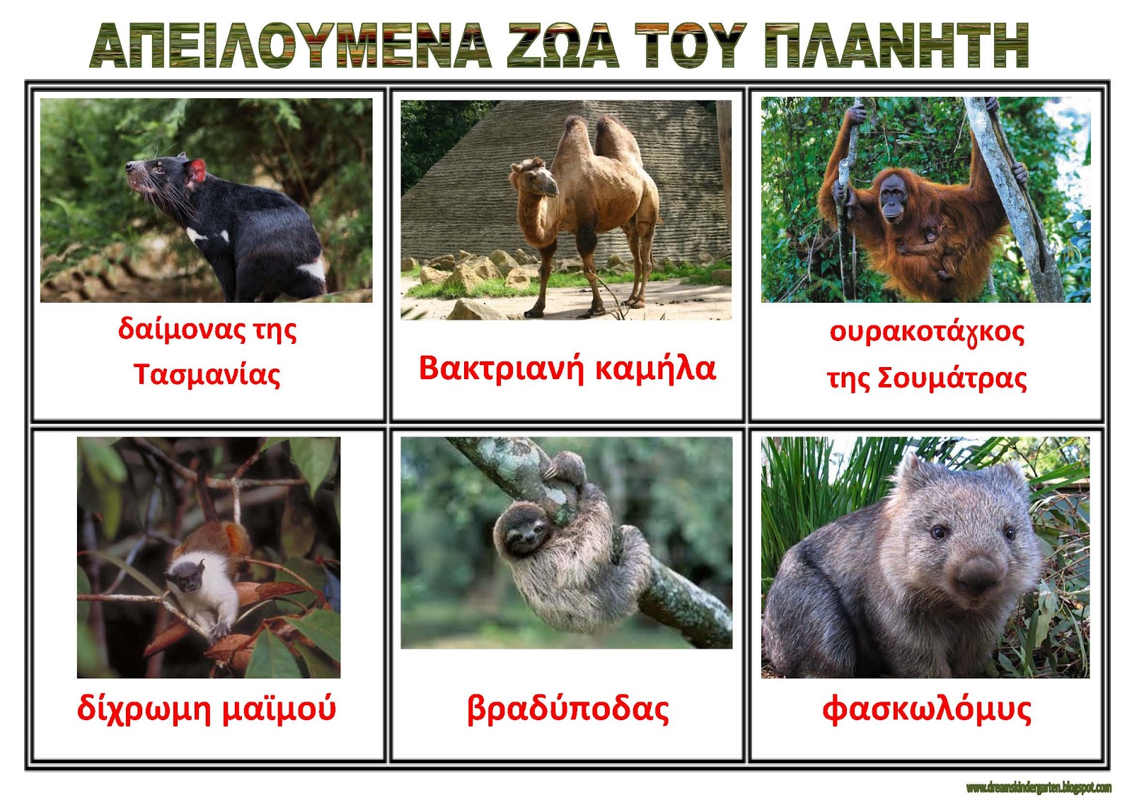 dreamskindergarten Το νηπιαγωγείο που ονειρεύομαι !: Πίνακες αναφοράς ...