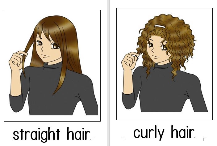 Teacher Perfect: ESL Flashcards: Appearance (Hair)