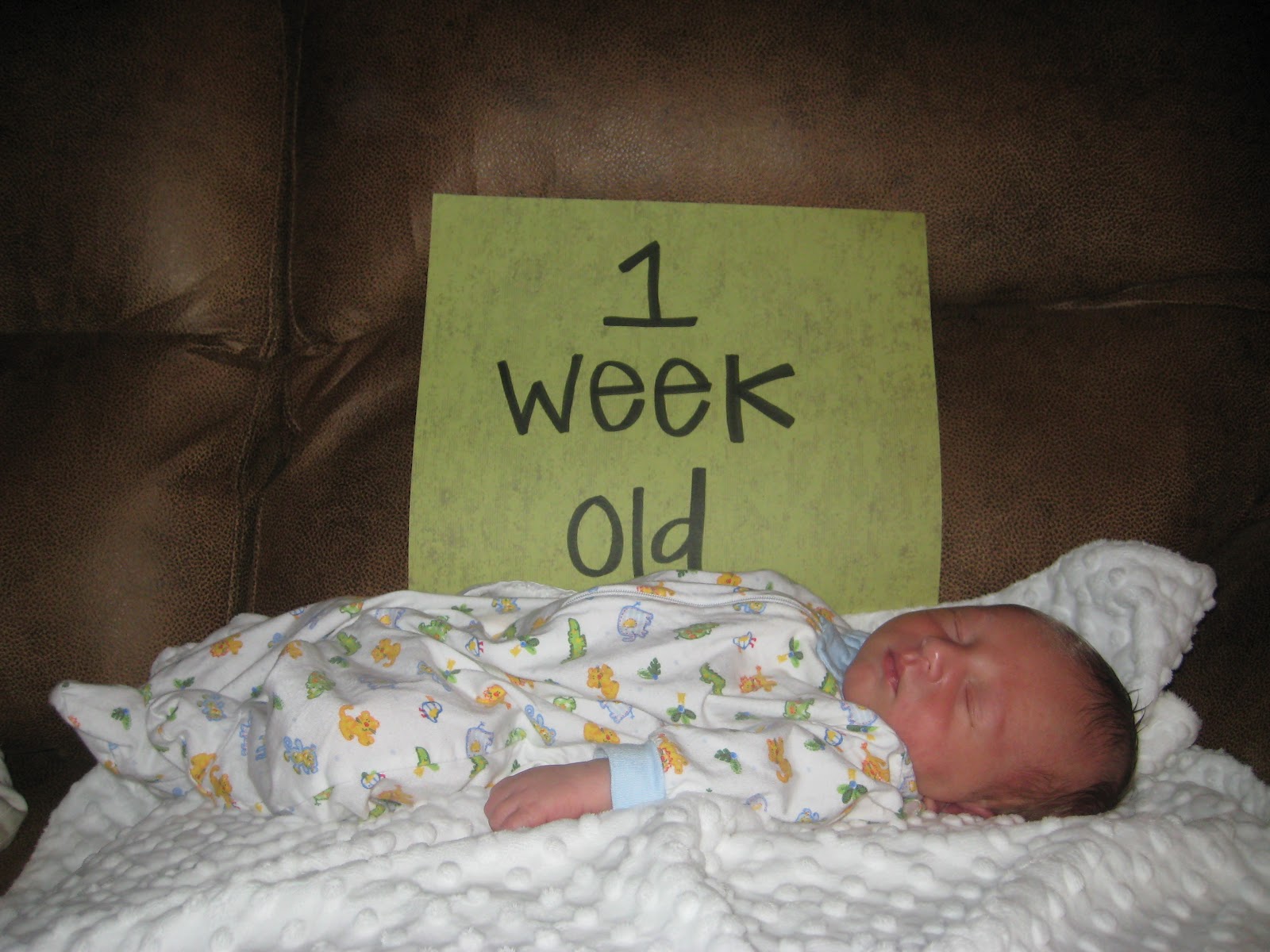 Life of The Lasseter's: It's tough to be a week old