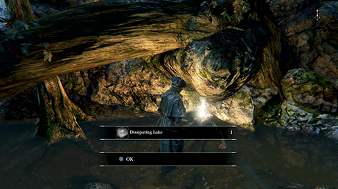 Dissipating Lake | Bloodborne Wiki