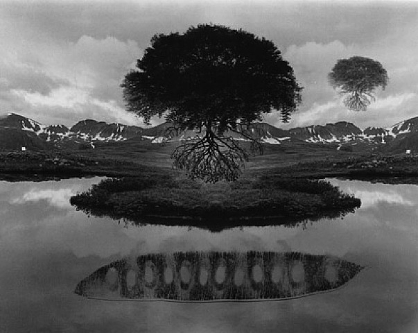 LES MAMELLES DE TIRESIAS: JERRY UELSMANN (NE EN 1934) I