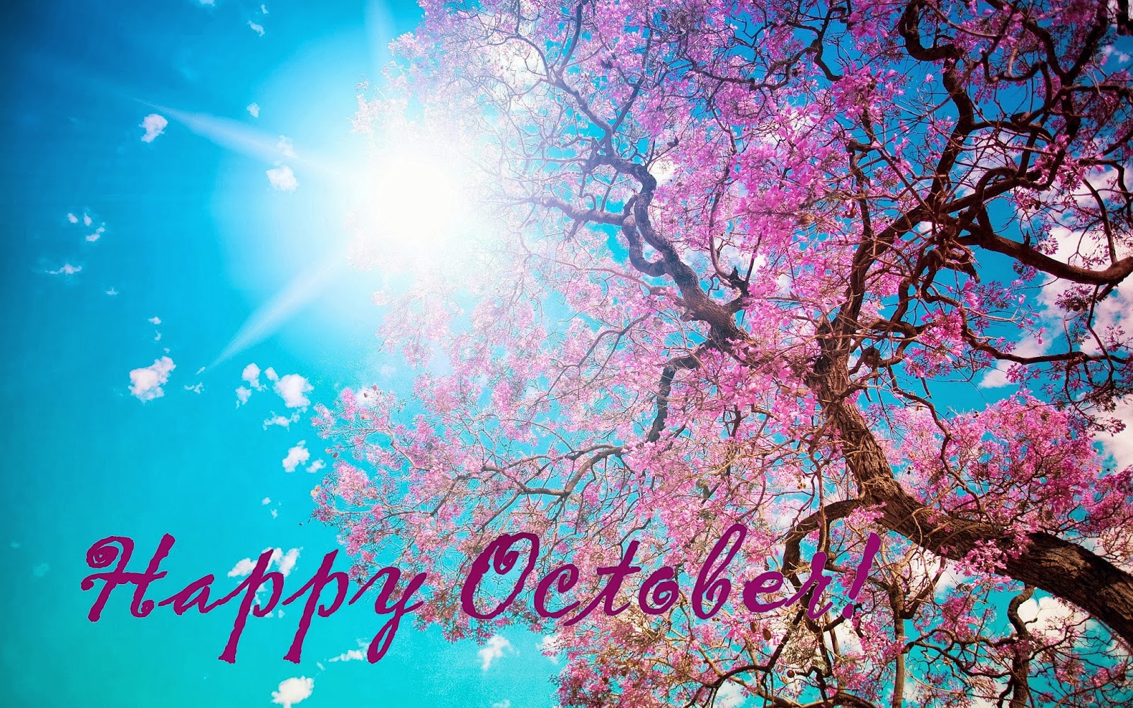 Our Journey to Everywhere!: Happy October!