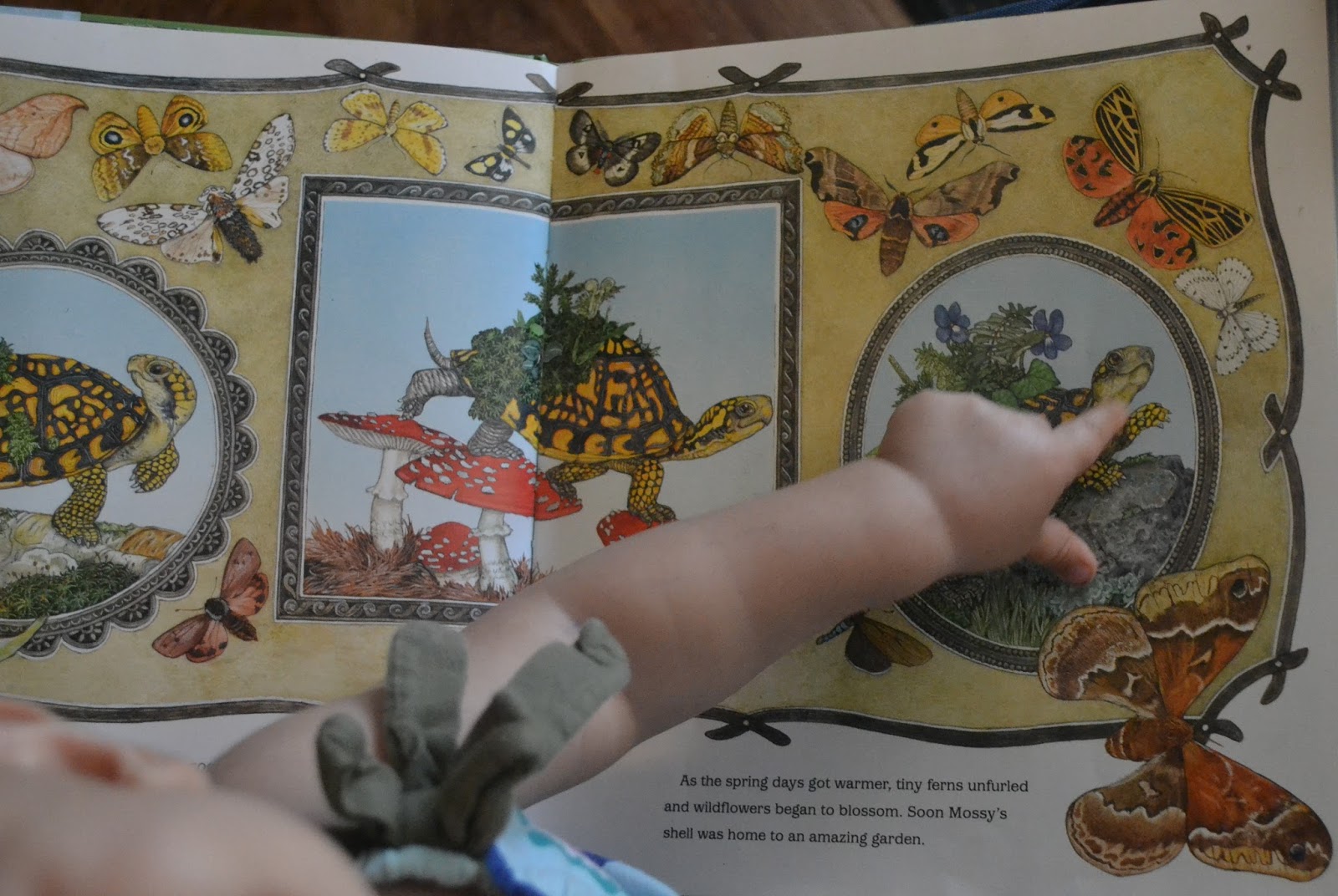 Lazy Day Literature: Children's Picture Book Review: Mossy by Jan Brett