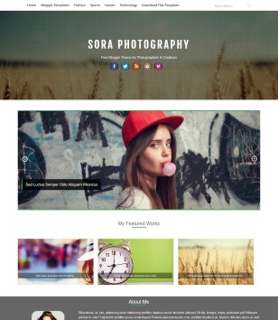 Sora Photography Blogger Template