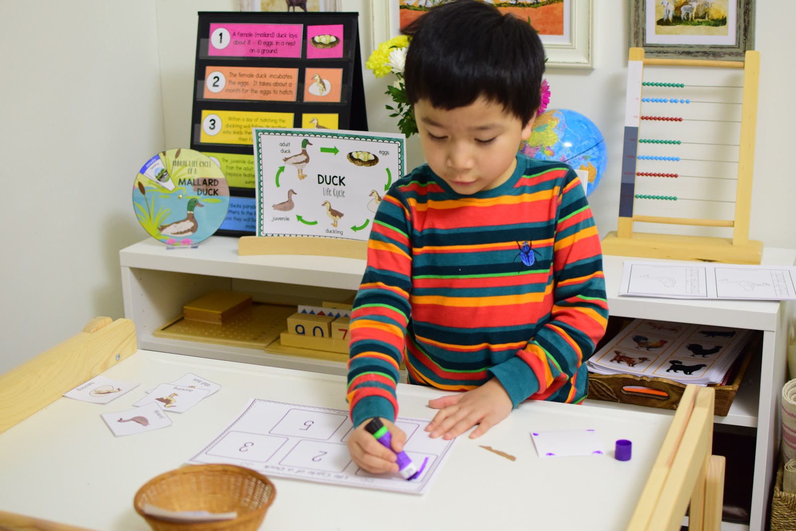 Spring Animal Life Cycles | The Pinay Homeschooler