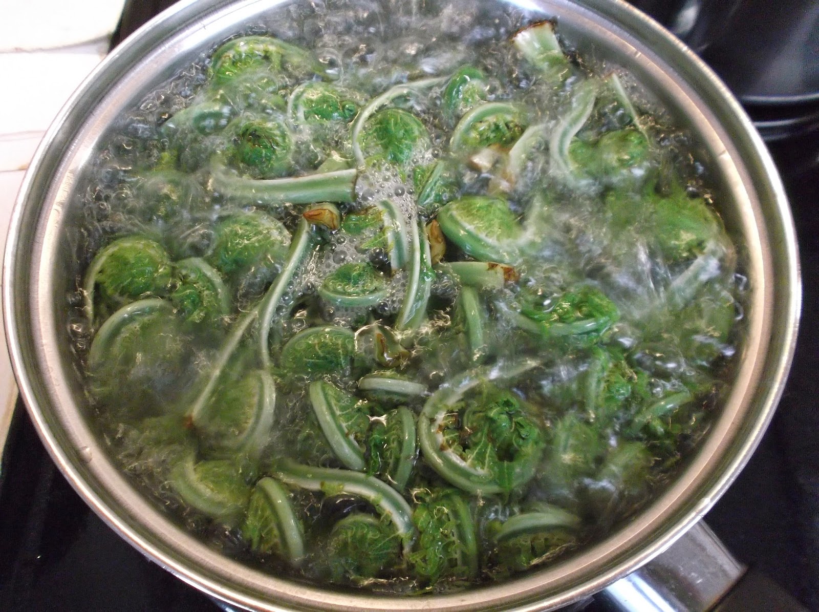 Hiroyuki's Blog on Japanese Cooking: Kogomi and Kinome/こごみと木の芽