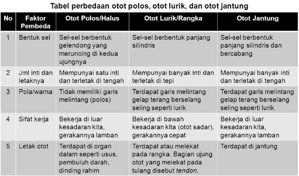 Belajar IPA #dirumahaja: Bab 6. Sistem Organisasi Kehidupan (Materi 2 ... Belajar IPA #dirumahaja: Bab 6. Sistem Organisasi Kehidupan (Materi 2 ...