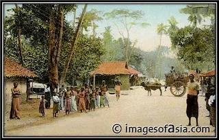 මීදුම. Miduma: කොළොම් පුරේ ශ්‍රීයා . Colombo 1800 -1980