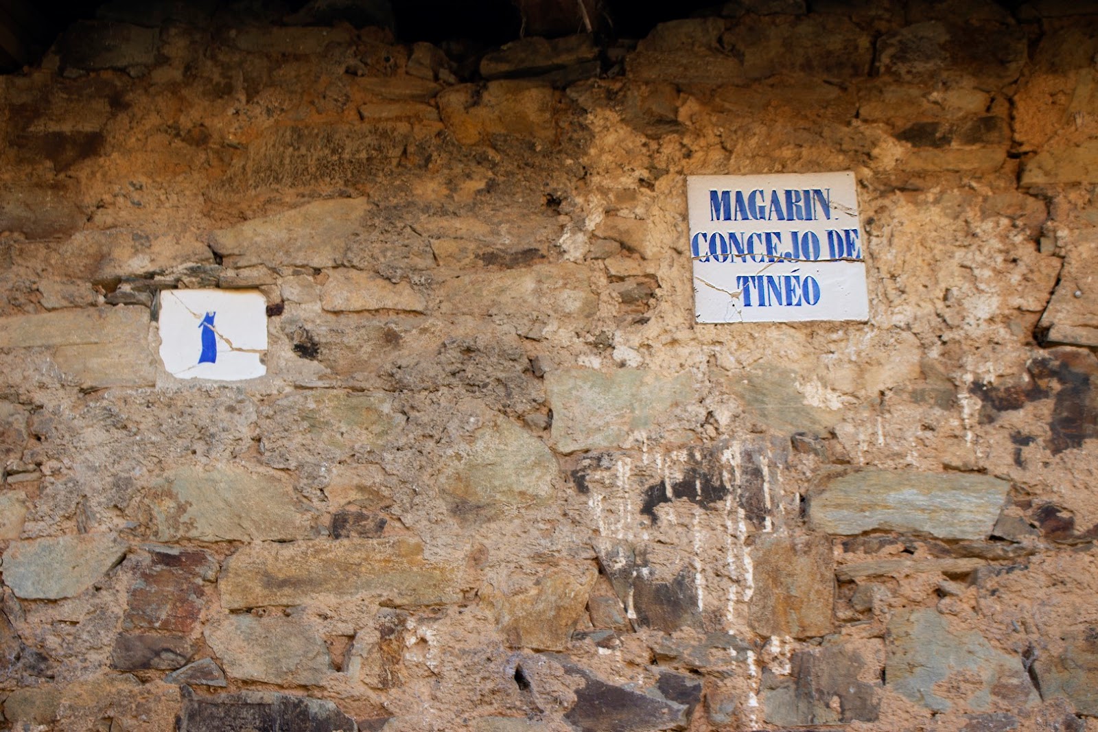 miércoles, 29 de enero de 2020