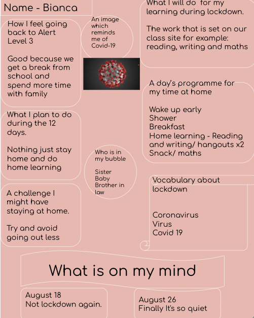 Bianca: Lockdown flowchart