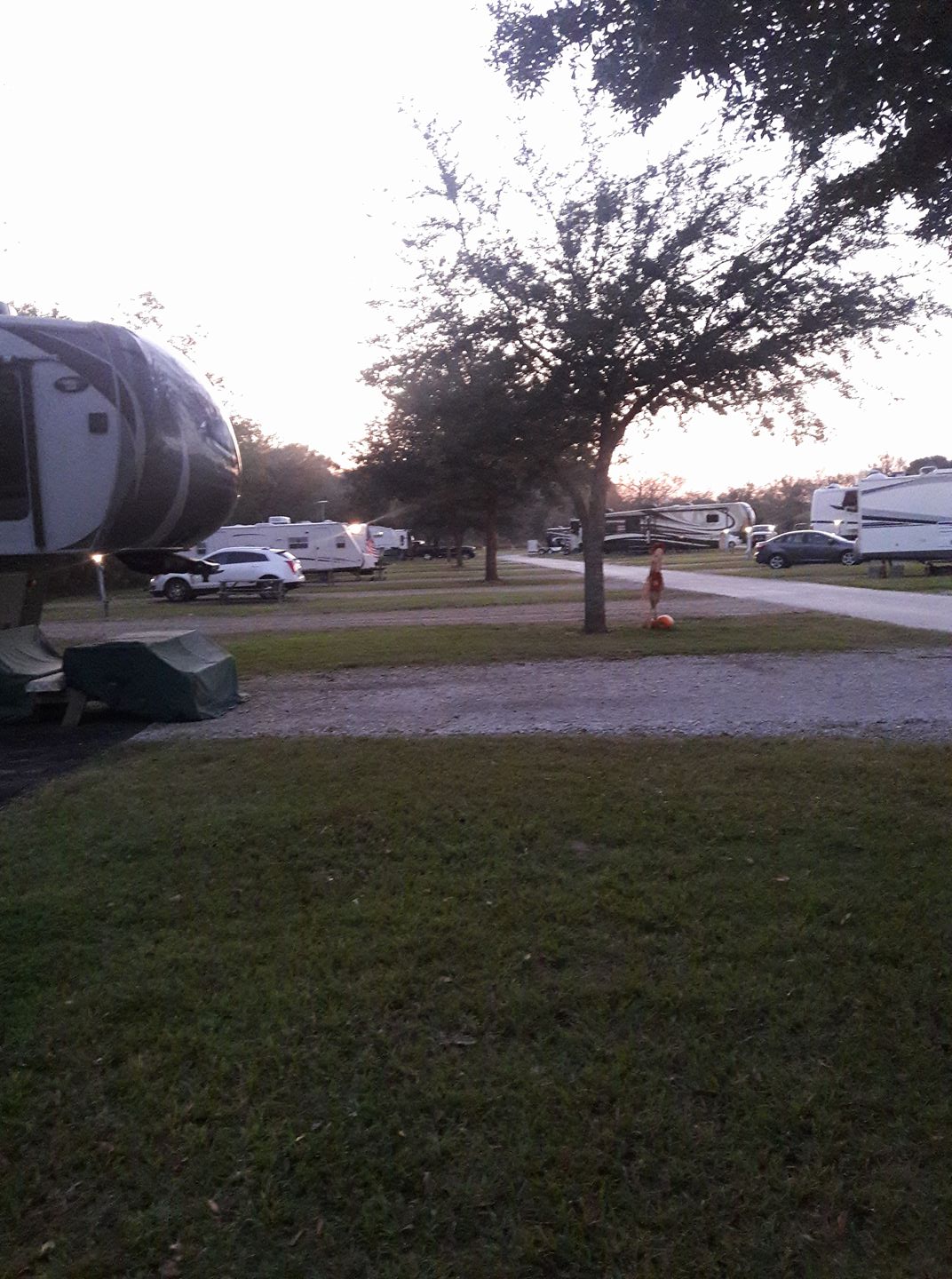Passport America Site Seers: Frog City RV Park, Duson, LA - Passport ...