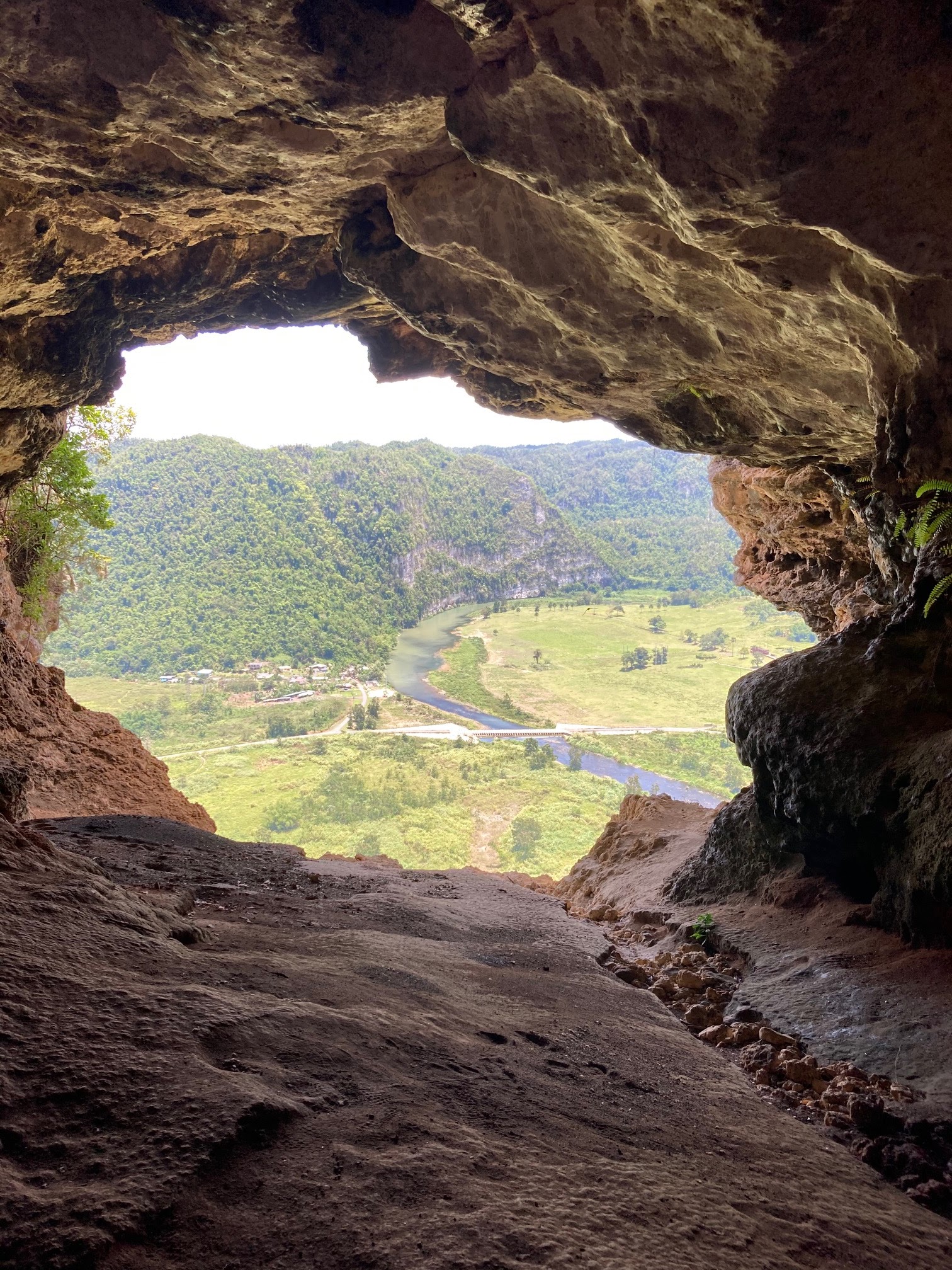 Observations of the Practical Kind: Cueva Ventana: The Window Cave