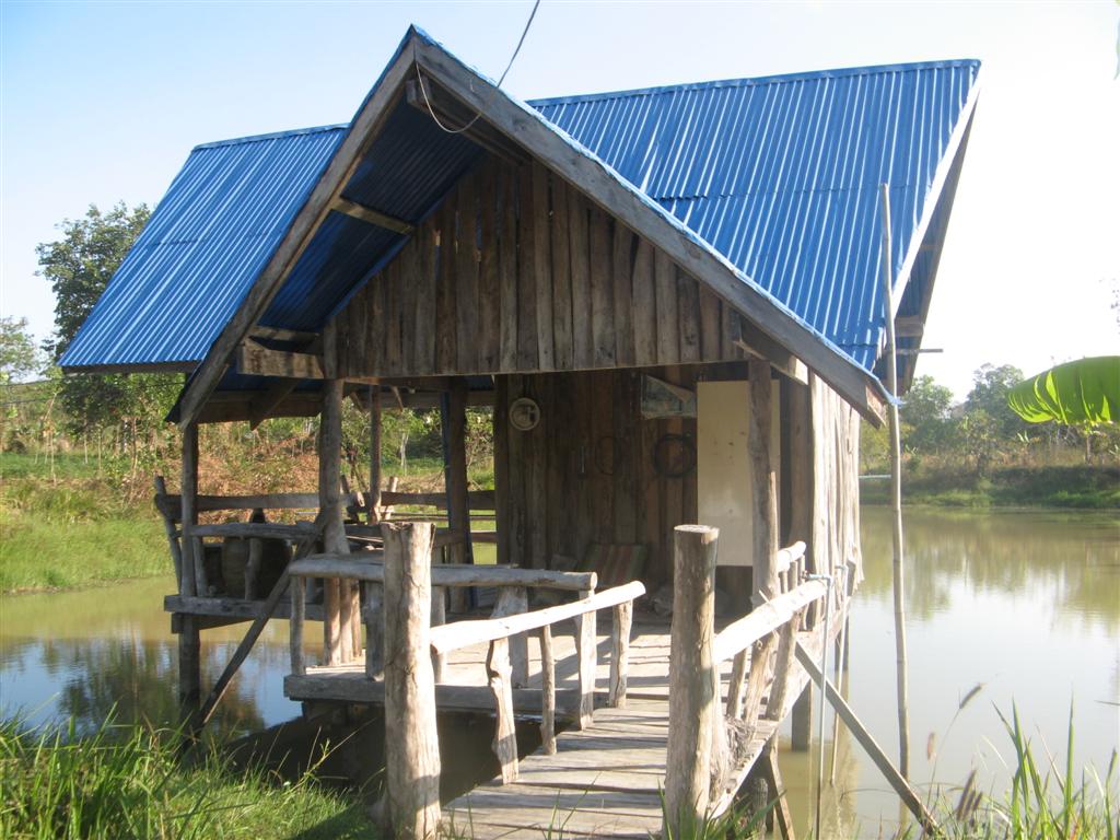 Thailand - daily photo: Hut on the pond
