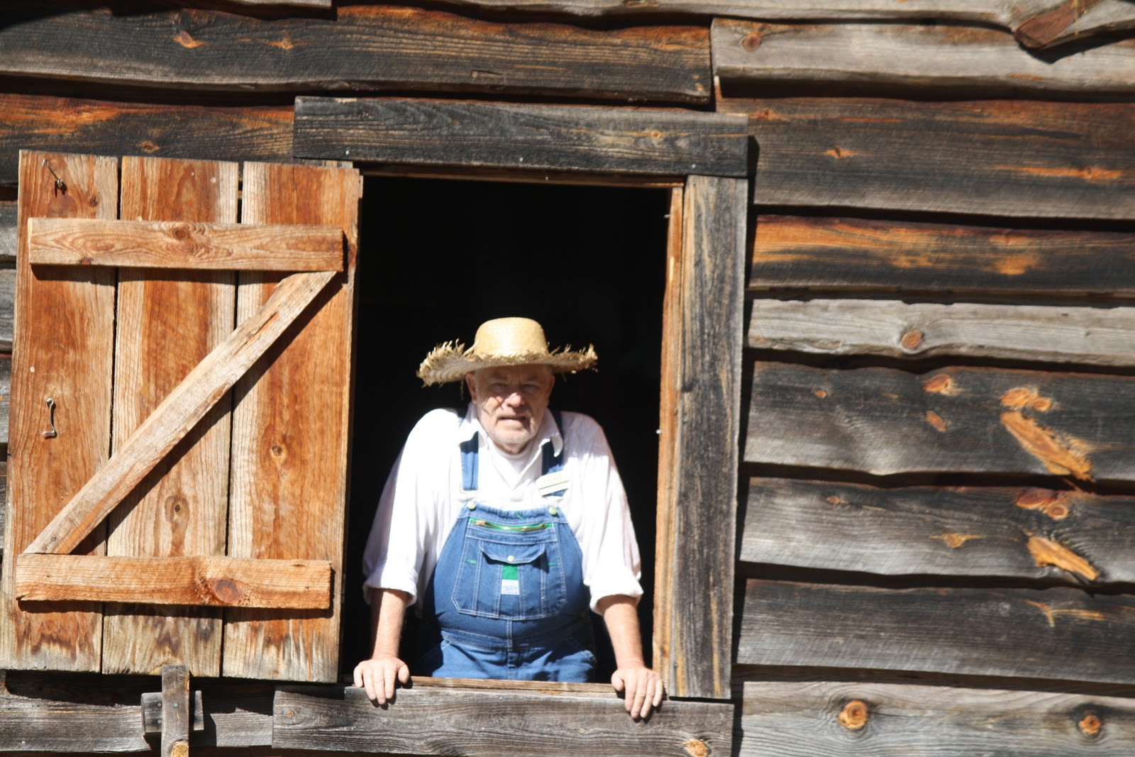 The Blue Whale and Other Travel Tales: Ocali Days at Silver River ...