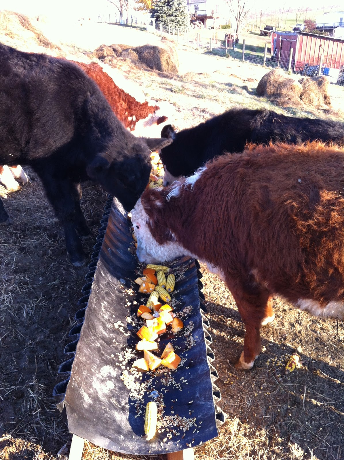 Down On The (Howard Family) Farm