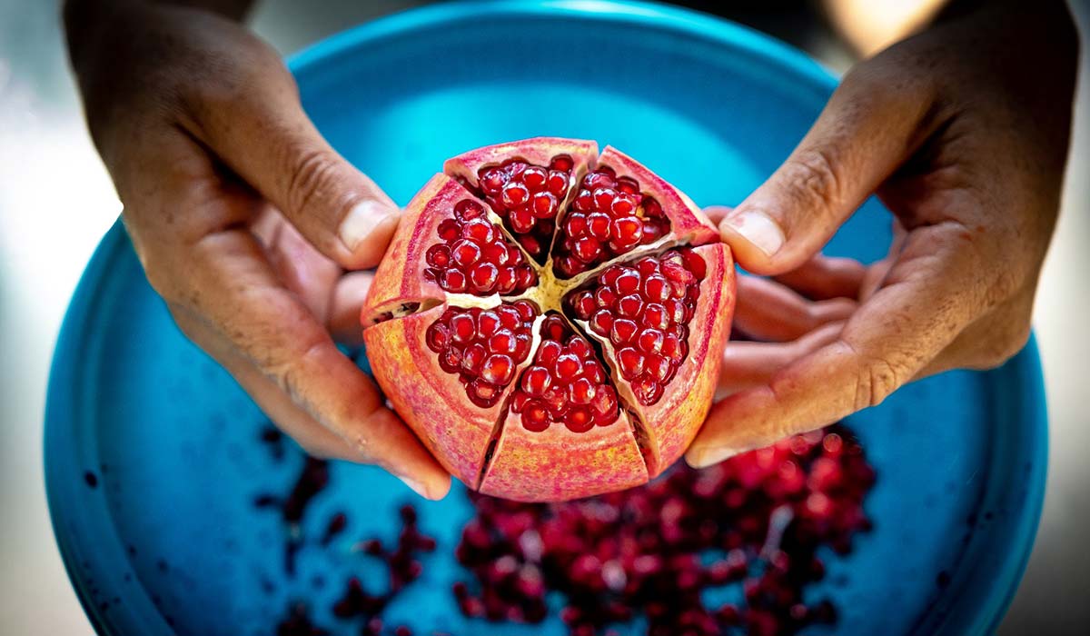 Baú do Luizinho: Romã: uma fruta cheia de símbolos, significados e ...