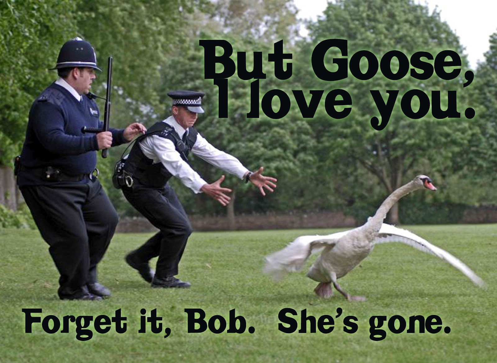 thatjeffcarter was here: But Goose, I Love You