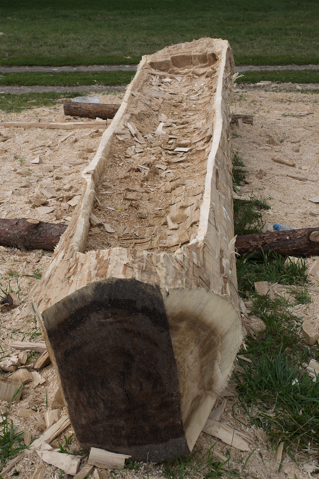 Obserwator Toruński: Jak zrobić dłubankę? (1890)