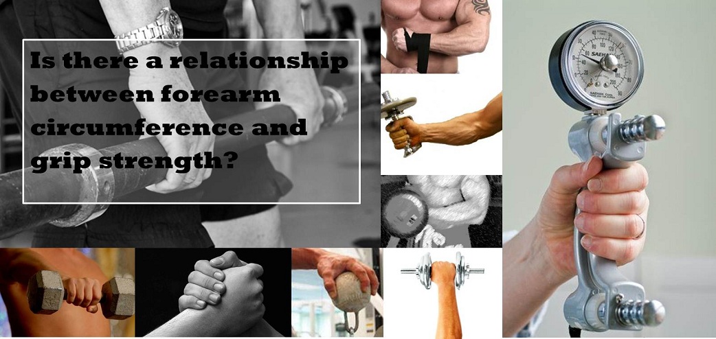 Grip Strength vs Hand Circumference: REFERENCES